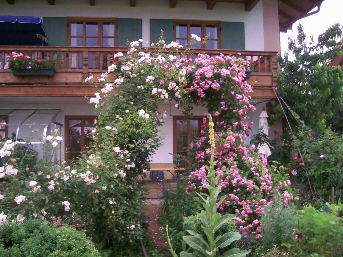 43 M² Ferienwohnung ∙ 2 Gäste - Prien am Chiemsee