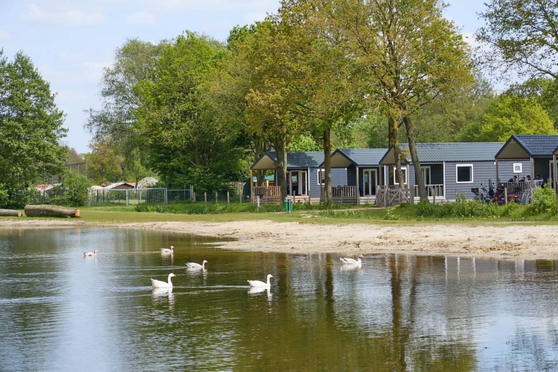 54 M² Chalet ∙ 2 Chambres ∙ 4 Personnes - Hardenberg