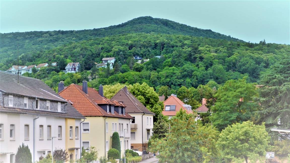 74 M² Ferienwohnung ∙ 2 Schlafzimmer ∙ 6 Gäste - Deidesheim