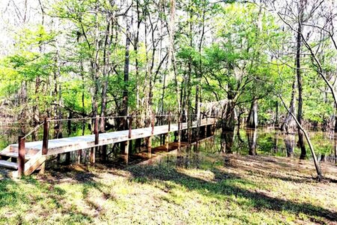 House ∙ 2 Bedrooms ∙ 4 Guests - Caddo Lake State Park, Karnack