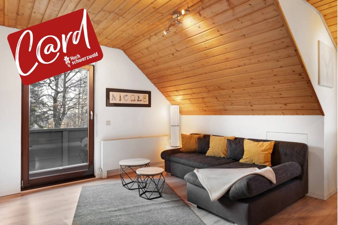 50 M² Appartamento Vacanza ∙ 1 Camera Da Letto ∙ 4 Ospiti - Lenzkirch