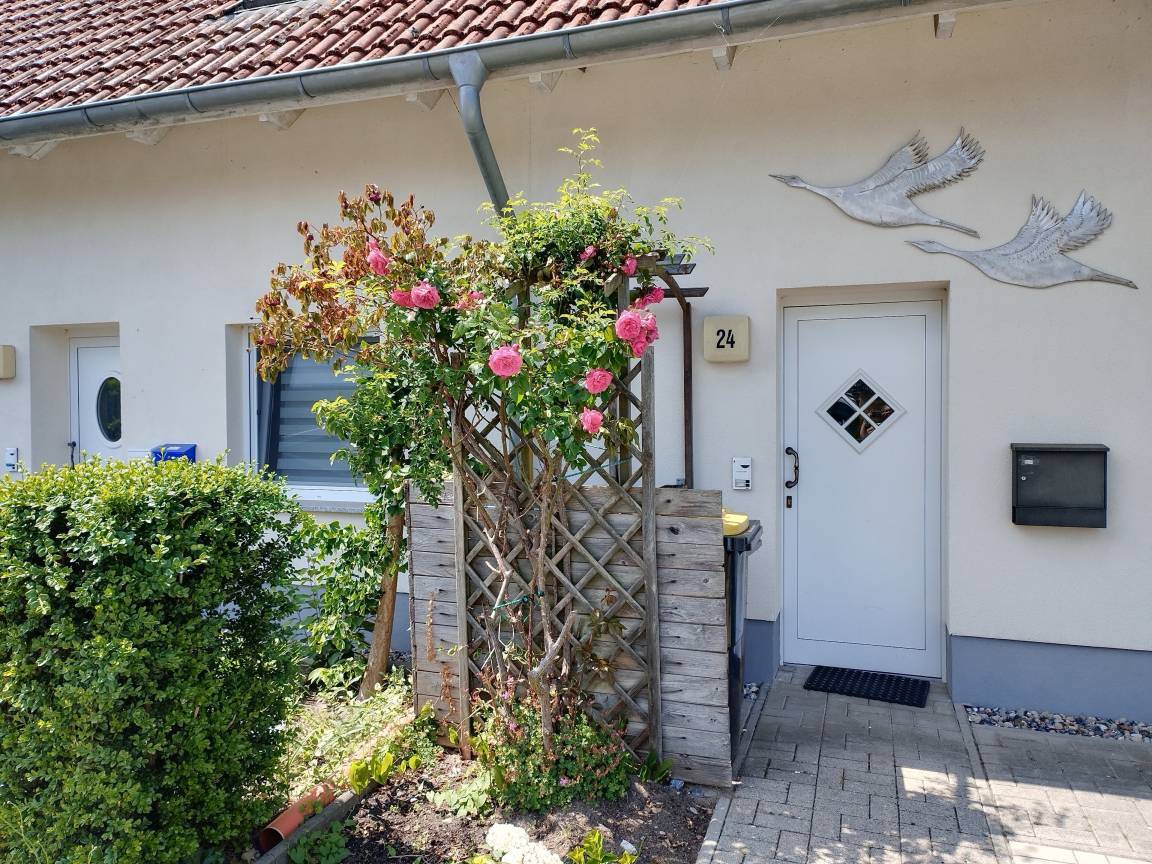 56 M² Ferienwohnung ∙ 2 Schlafzimmer ∙ 4 Gäste - Zingst
