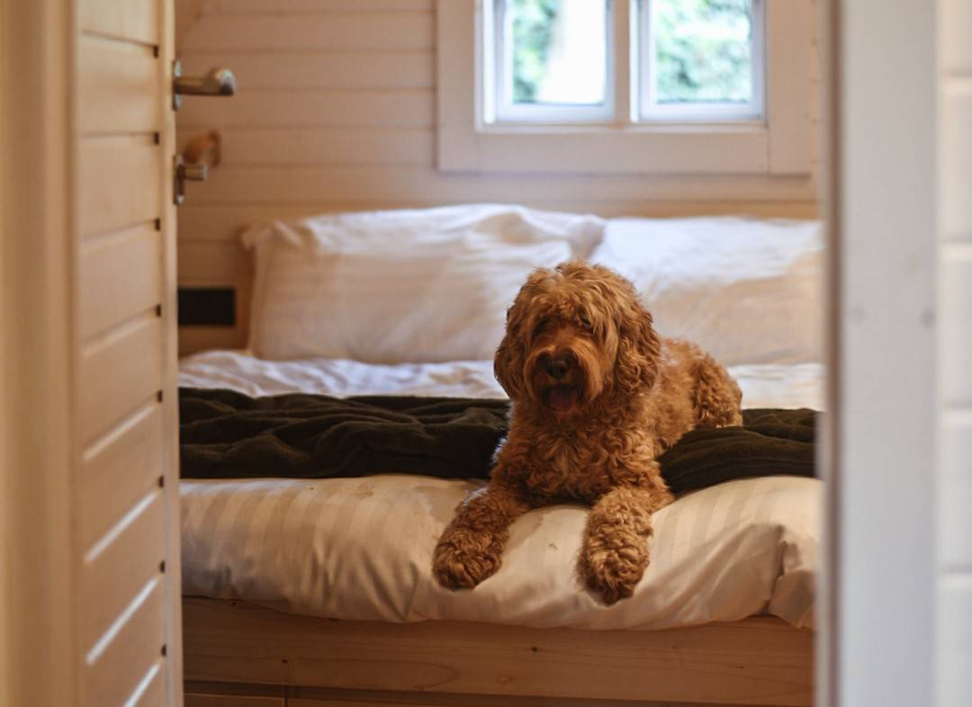 Cottage ∙ 1 Bedroom ∙ 2 Guests - Abergavenny