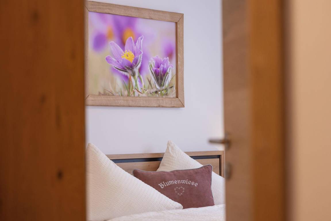 50 M² Ferienwohnung ∙ 1 Schlafzimmer ∙ 4 Gäste - Neustift im Stubaital