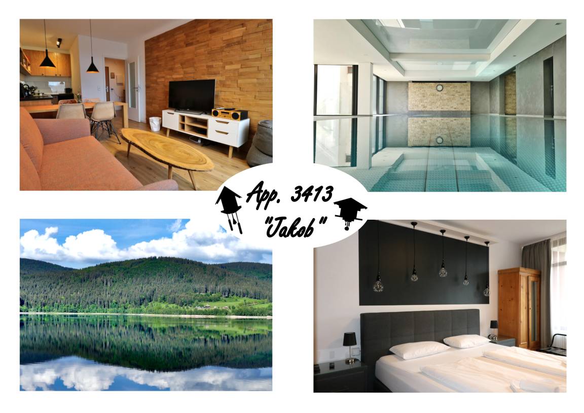 43 M² Appartement ∙ 1 Chambre ∙ 4 Personnes - Schluchsee