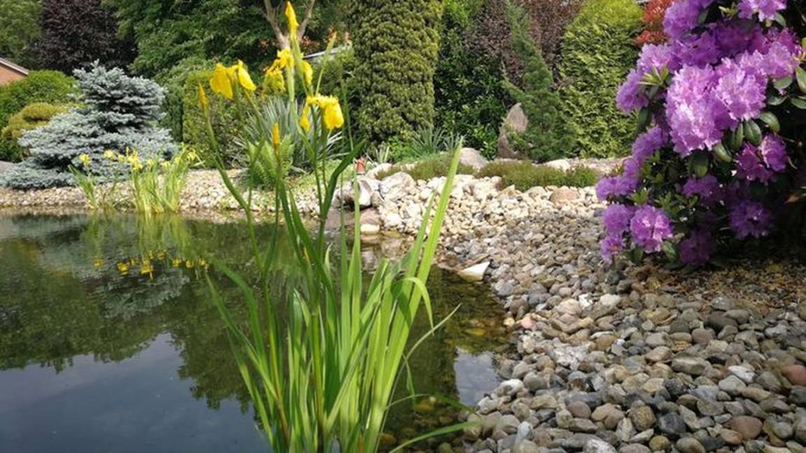 150 M² Apartment ∙ 3 Bedrooms ∙ 6 Guests - Freiburg