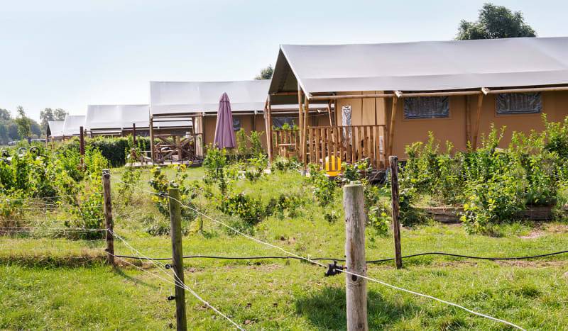 Tent ∙ 3 Bedrooms ∙ 6 Guests - Vrouwenpolder
