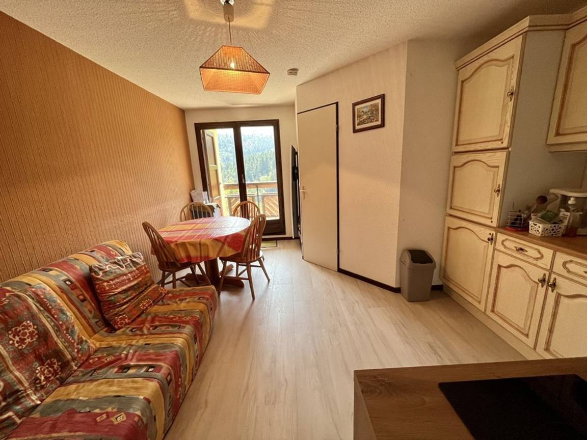 27 M² Appartement ∙ 1 Chambre ∙ 4 Personnes - Le Lioran (Super Lioran)