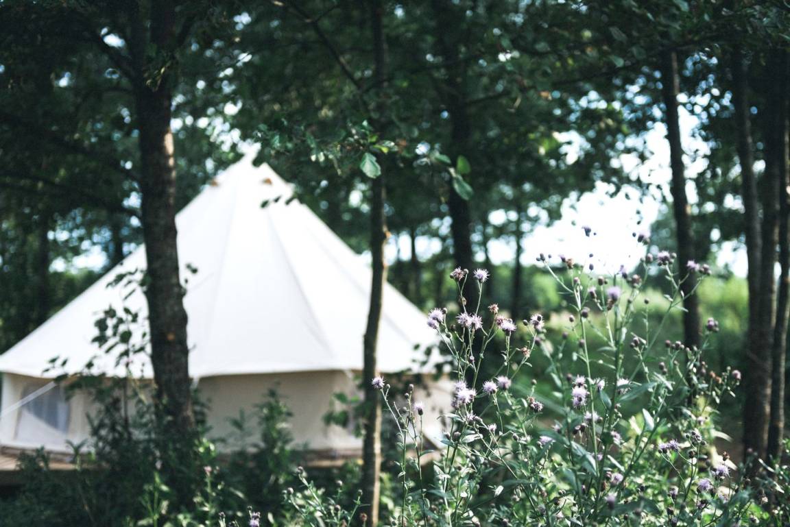 Camping-unterkunft ∙ 1 Schlafzimmer ∙ 2 Gäste - Prince Edward