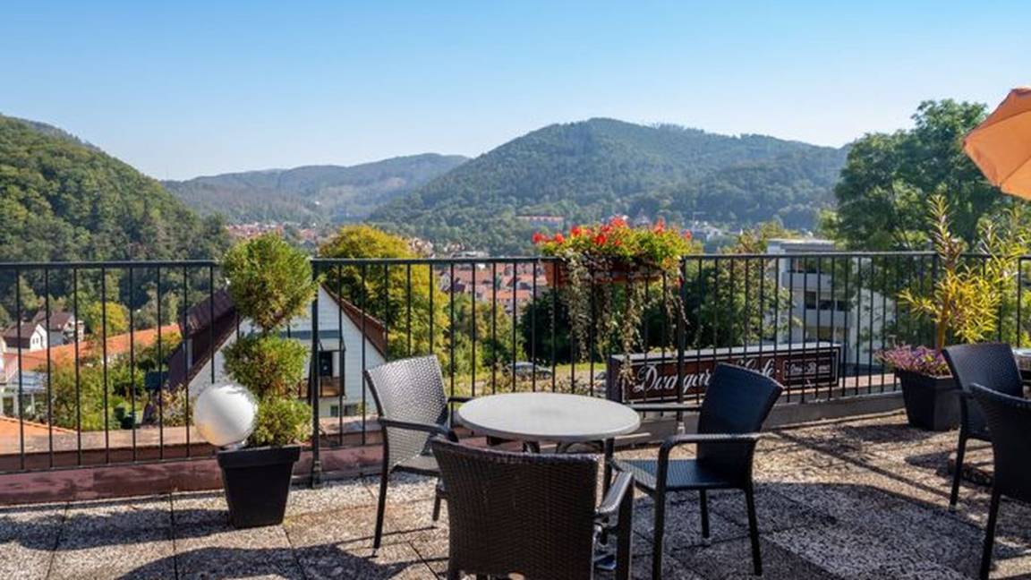 17 M² Hotel ∙ 1 Bedroom ∙ 1 Guest - Bad Lauterberg