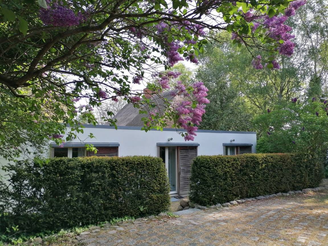 55 M² Ferienhaus ∙ 1 Schlafzimmer ∙ 2 Gäste - Ahrenshoop