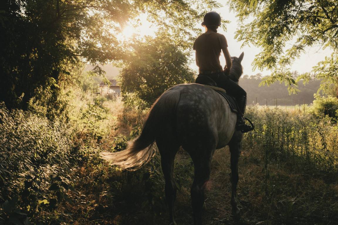 Farmhouse ∙ 1 Bedroom ∙ 3 Guests - Piacenza