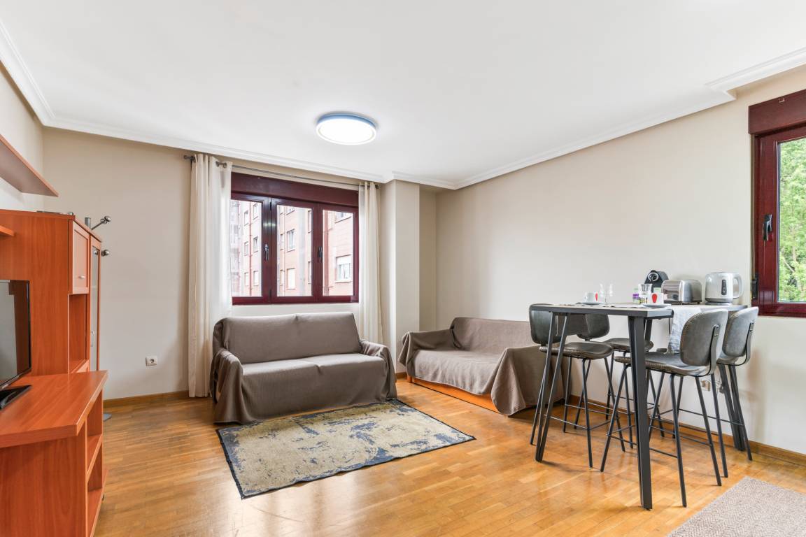 50 M² Apartamento ∙ 1 Habitación ∙ 4 Huéspedes - Langreo