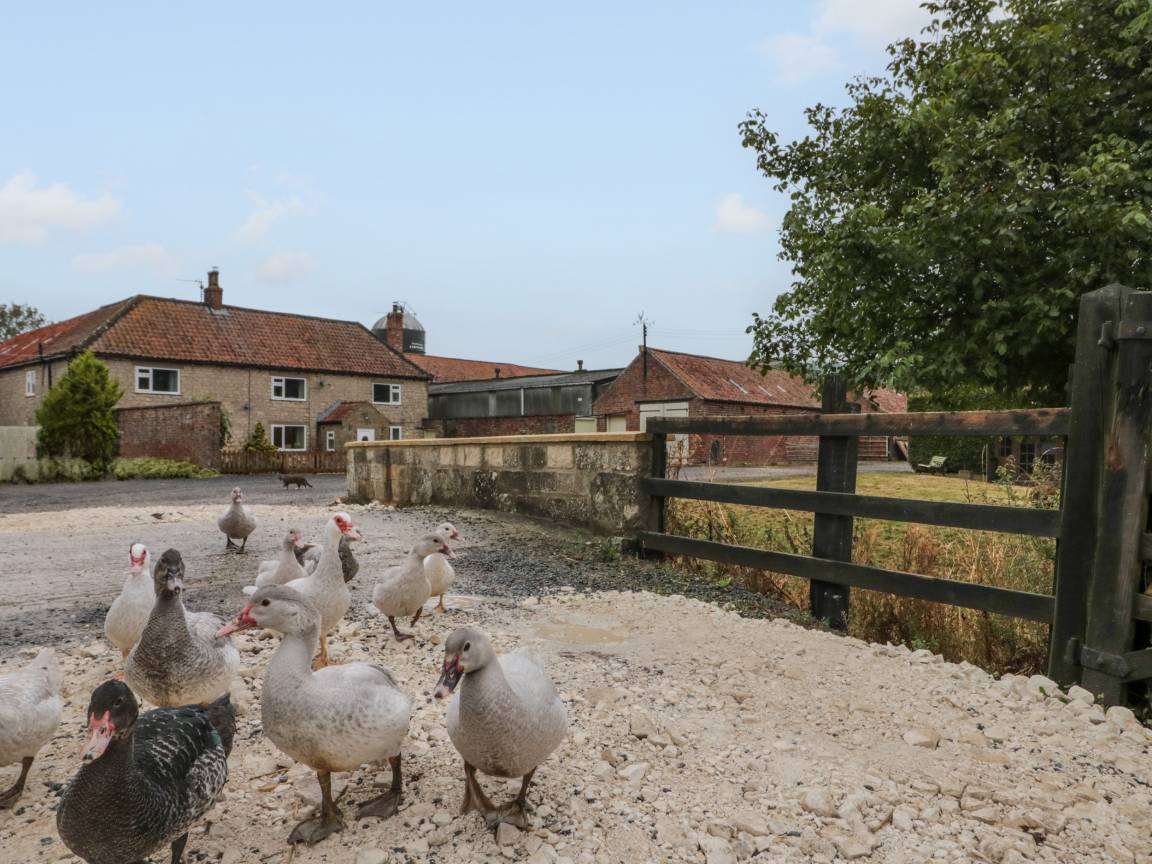 Cottage ∙ 2 Bedrooms ∙ 4 Guests - Malton