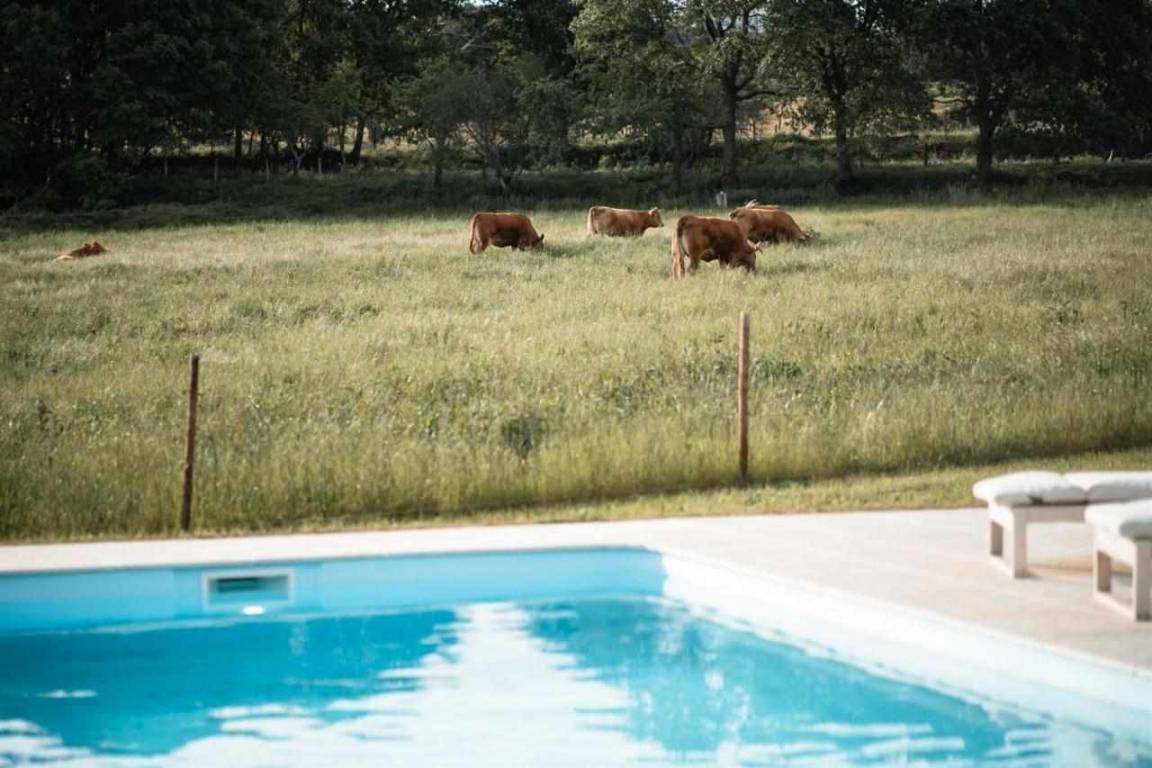 18 M² Hotel ∙ 1 Bedroom ∙ 2 Guests - Guarda