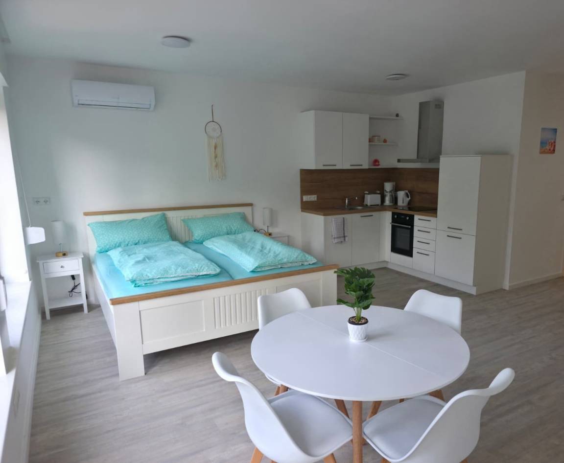Apartment ∙ 1 Bedroom ∙ 4 Guests - Bingen