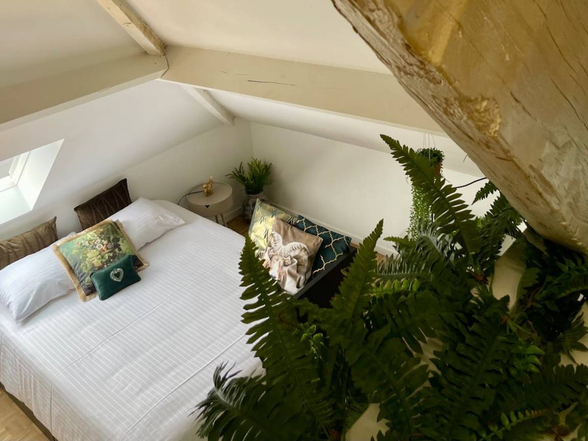 24 M² Appartement ∙ 1 Slaapkamer ∙ 1 Gast - Steenokkerzeel