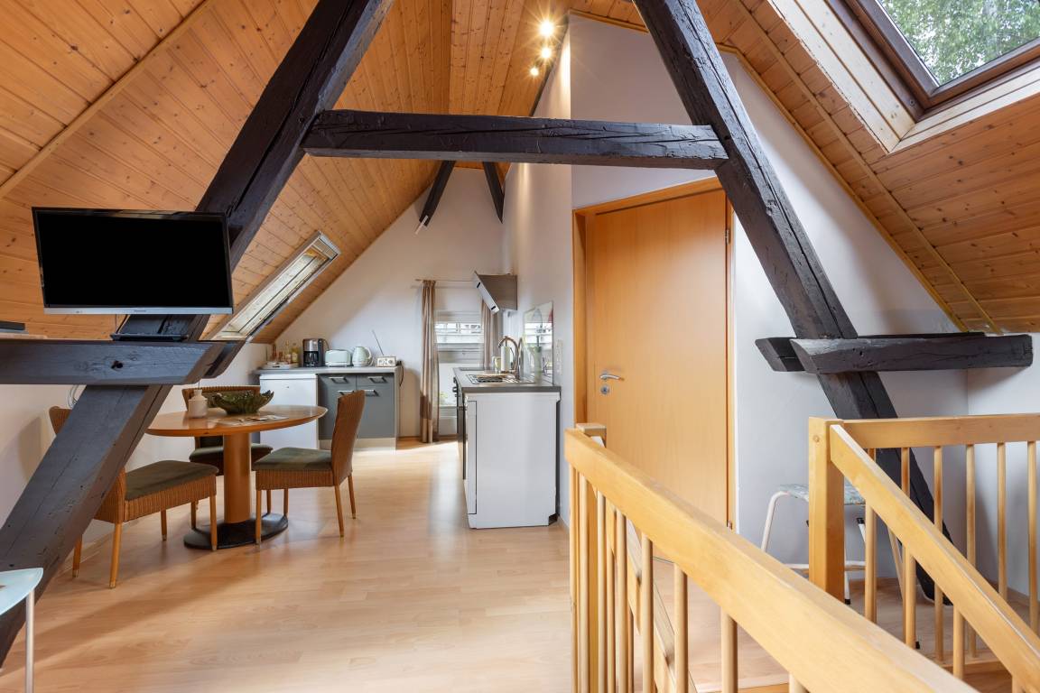 60 M² Appartement ∙ 1 Chambre ∙ 3 Personnes - Donaueschingen