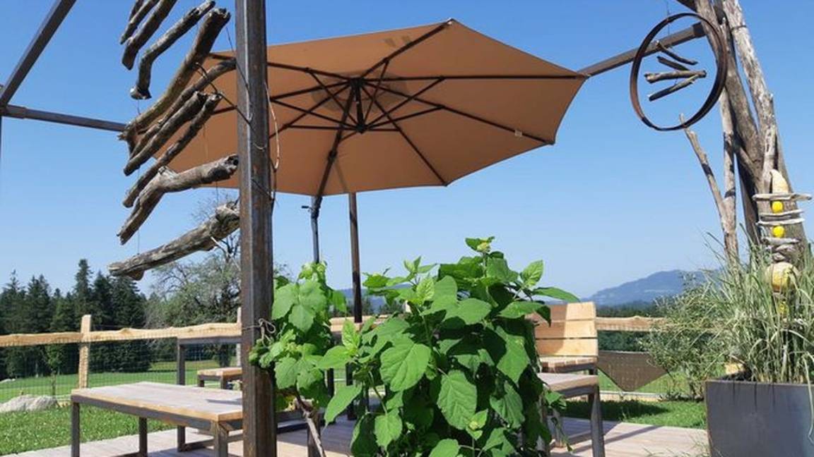 20 M² Hotel ∙ 1 Bedroom ∙ 2 Guests - Schwarzenberg