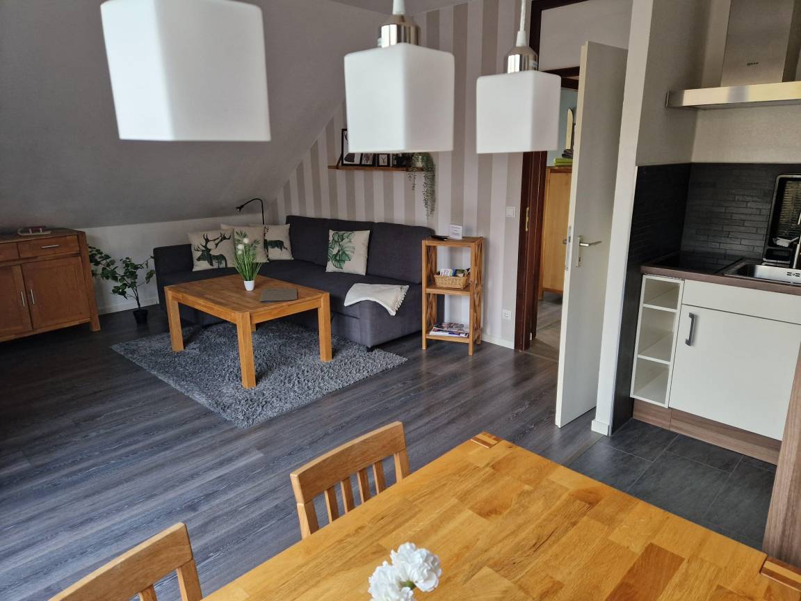 46 M² Appartement ∙ 1 Slaapkamer ∙ 4 Gasten - Braunlage