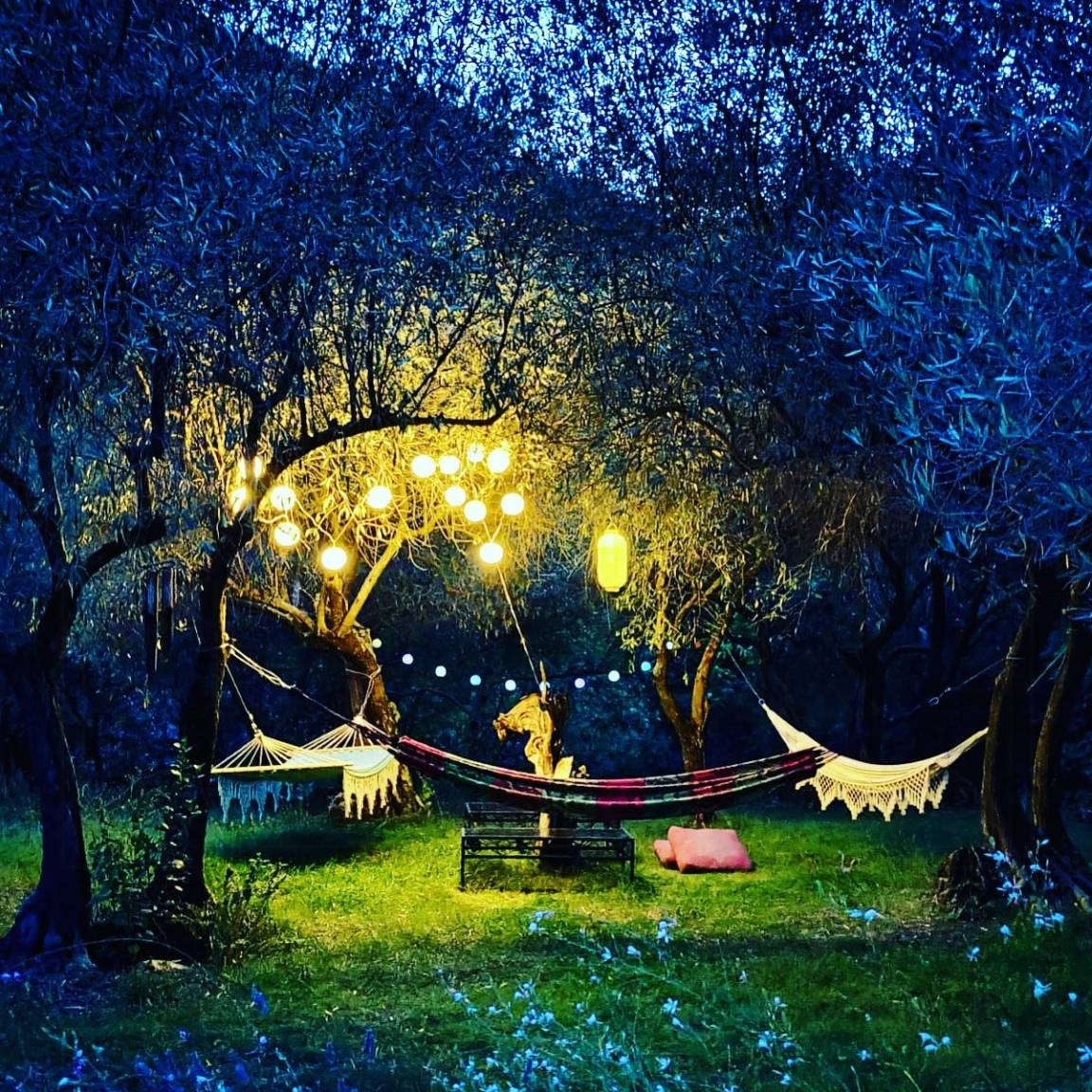 20 M² Maison De Vacances ∙ 1 Chambre ∙ 2 Personnes - Mazamet