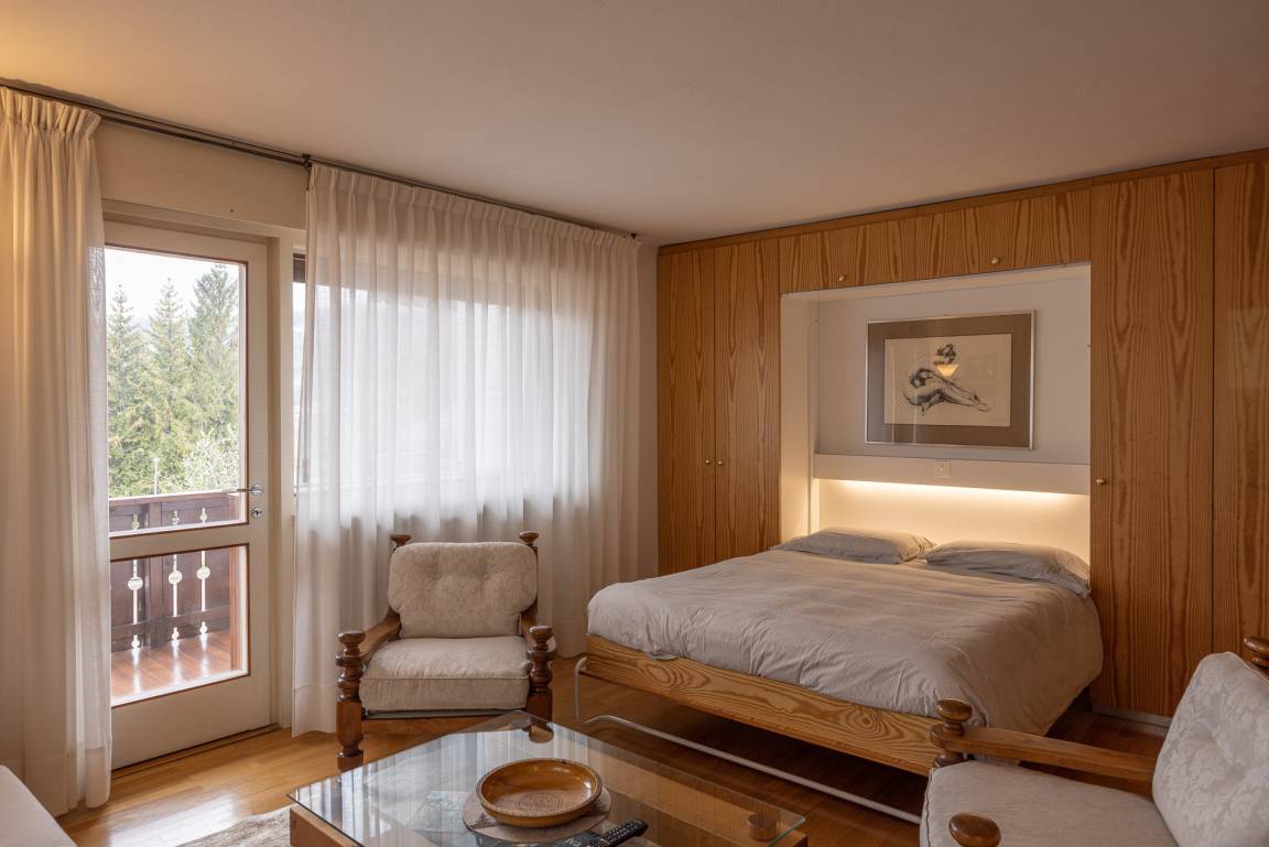 45 M² Monolocale ∙ 1 Camera Da Letto ∙ 2 Ospiti - Selva di Cadore