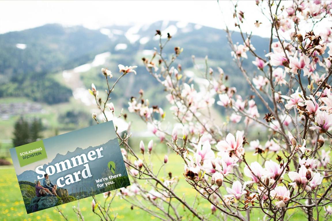 60 M² Apartment ∙ 2 Bedrooms ∙ 4 Guests - Hallstatt