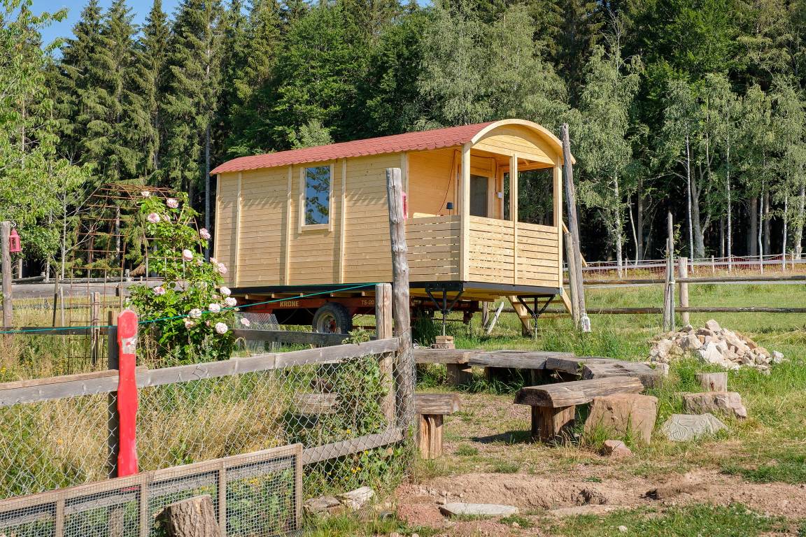 20 M² House ∙ 1 Bedroom ∙ 2 Guests - Black Forest