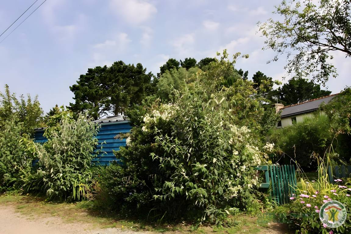 20 M² Chambre D'hôtes ∙ 1 Chambre ∙ 3 Personnes - Trégastel