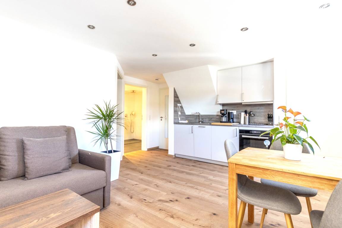38 M² Apartamento ∙ 1 Habitación ∙ 4 Huéspedes - Lenzkirch