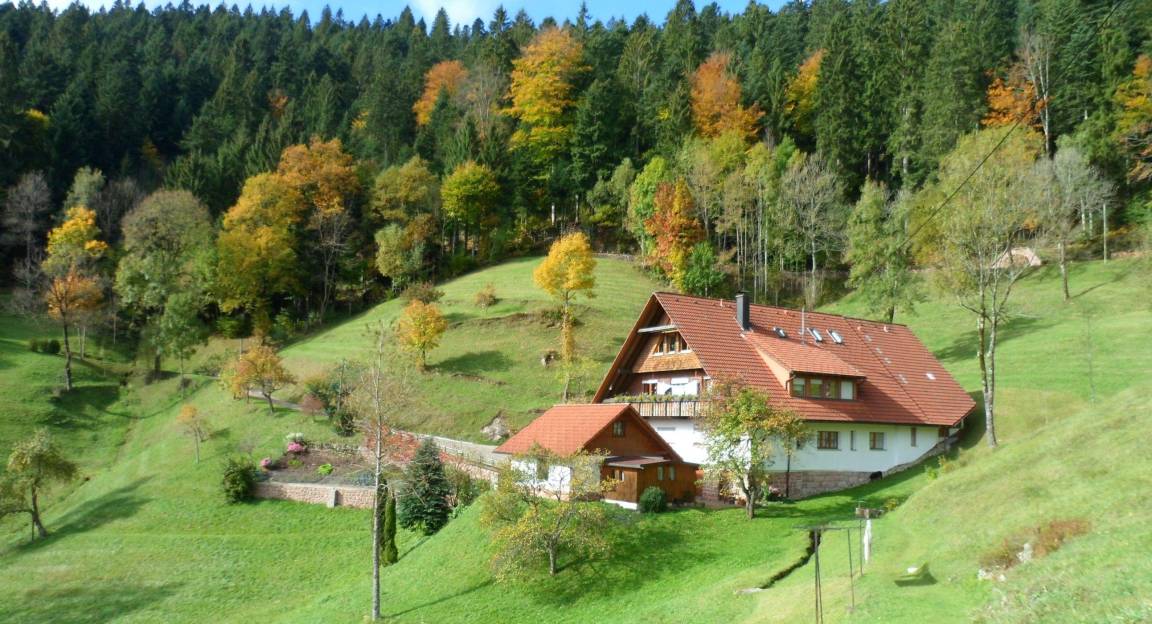 60 M² Apartment ∙ 1 Bedroom ∙ 4 Guests - Oberwolfach