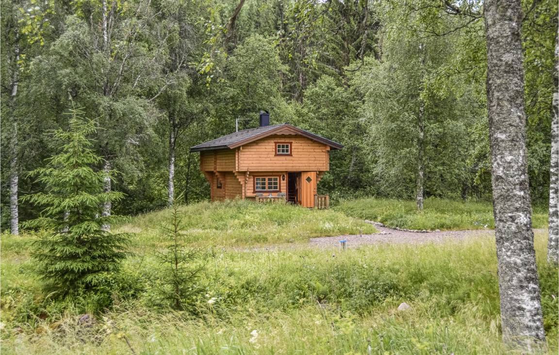 28 M² Hus ∙ 1 Sovrum ∙ 4 Gäster - Årjäng