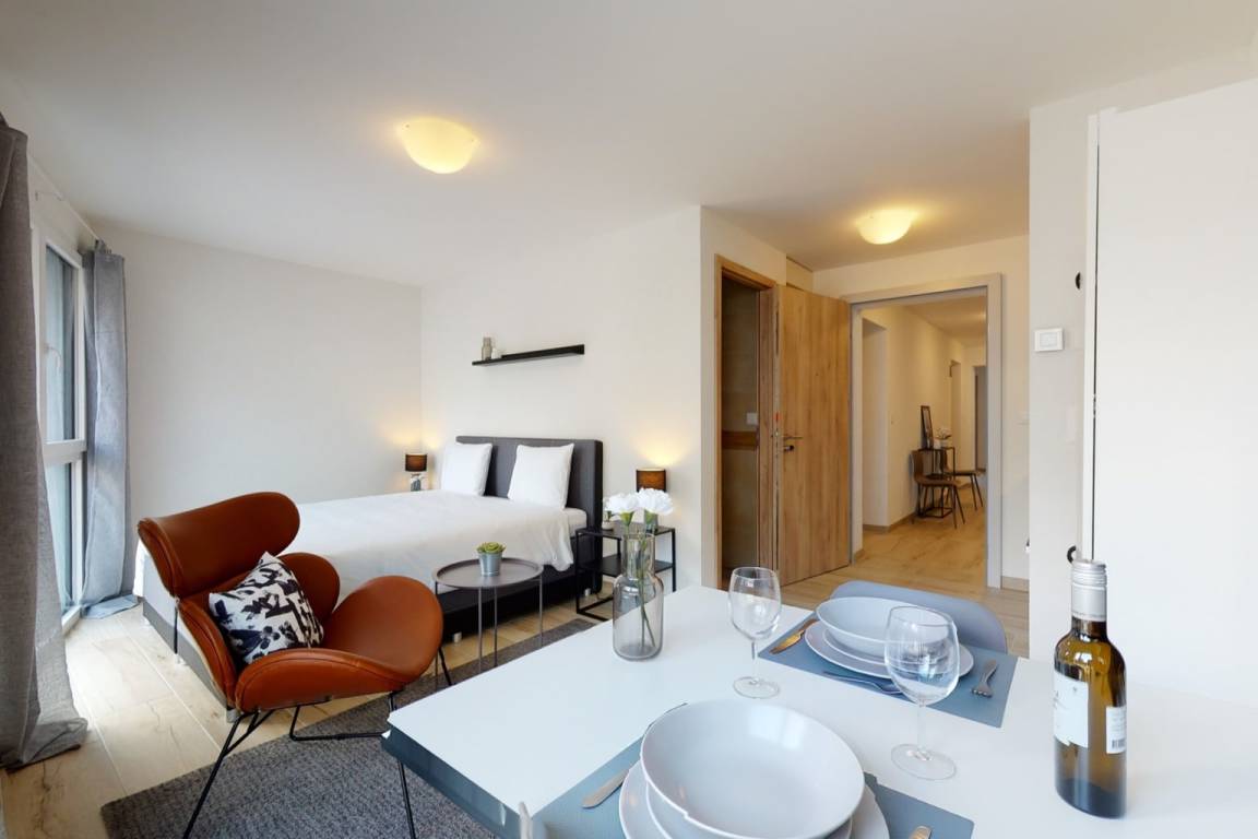 20 M² Studio Flat ∙ 1 Bedroom ∙ 2 Guests - Leysin