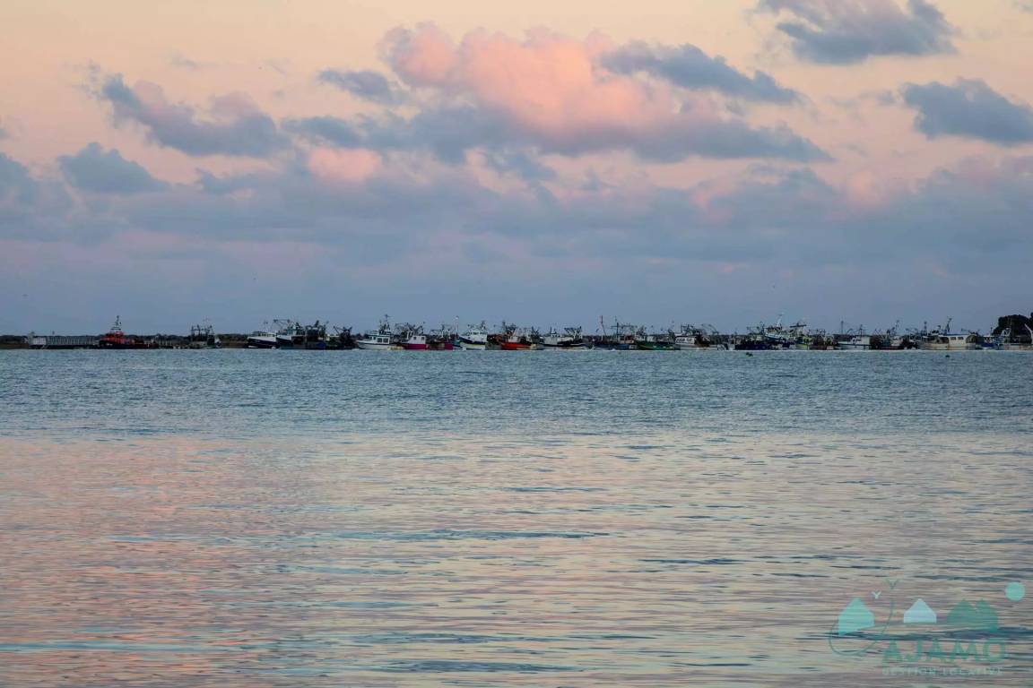 40 M² Appartement ∙ 1 Chambre ∙ 4 Personnes - Erquy