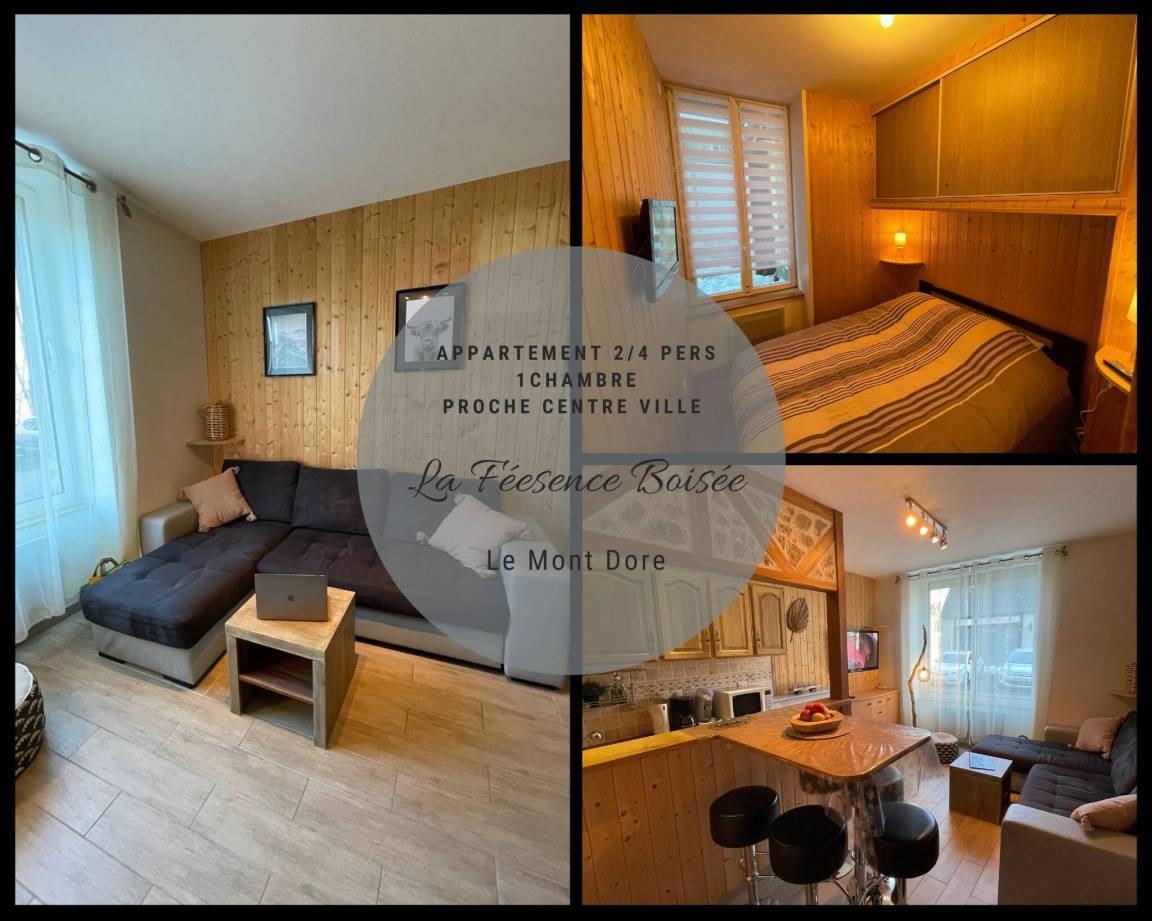 20 M² Appartement ∙ 1 Chambre ∙ 4 Personnes - La Bourboule