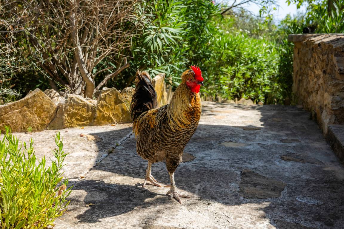 70 M² Casa ∙ 2 Habitaciones ∙ 5 Huéspedes - Petra