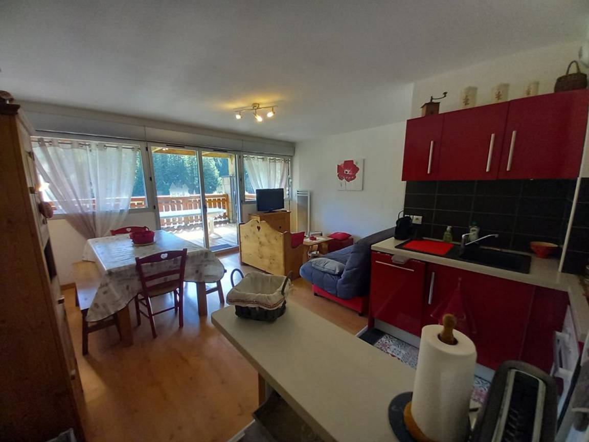 58 M² Appartement ∙ 2 Chambres ∙ 8 Personnes - Le Lioran (Super Lioran)
