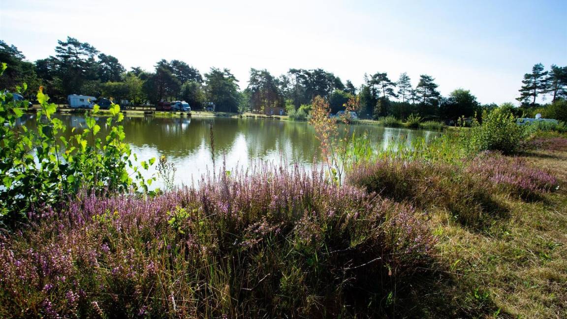 Apartment ∙ 1 Bedroom ∙ 2 Guests - Soltau
