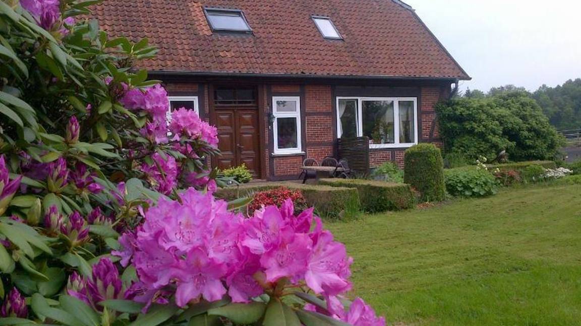 Ferienwohnung ∙ 1 Schlafzimmer ∙ 2 Gäste - Bad Fallingbostel