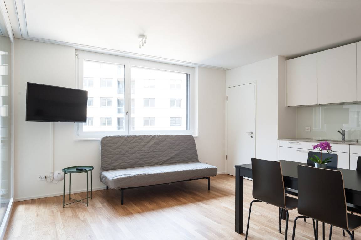 51 M² Appartement ∙ 1 Chambre ∙ 4 Personnes - Bâle