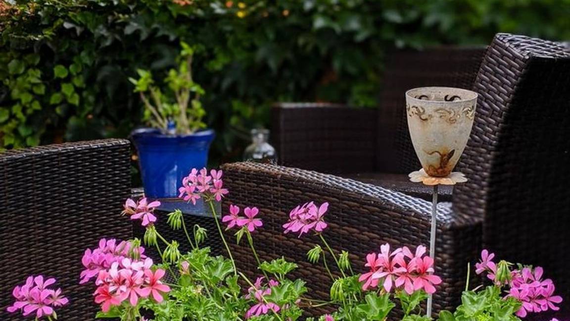 46 M² Apartment ∙ 1 Bedroom ∙ 3 Guests - Dresden