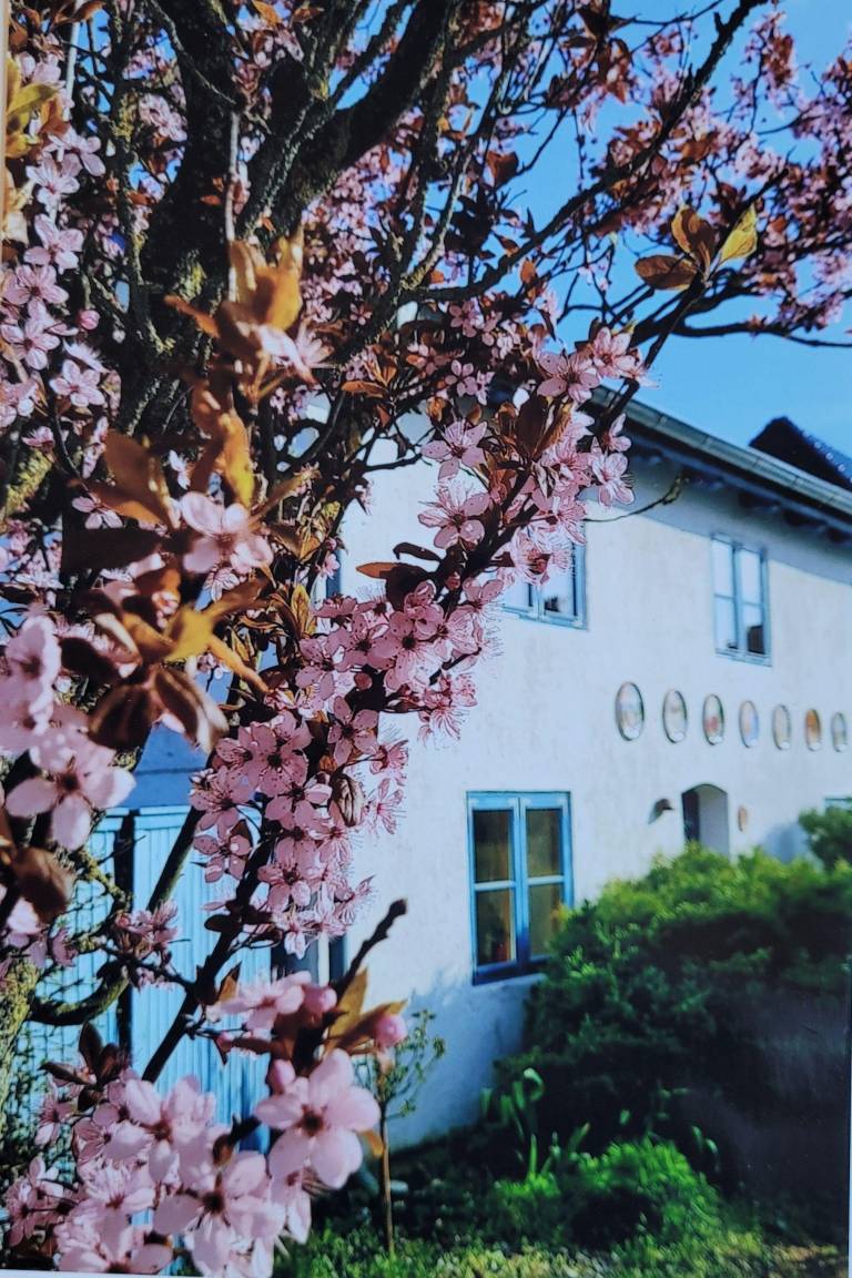 28 M² Ferienwohnung ∙ 1 Schlafzimmer ∙ 2 Gäste - Schaprode