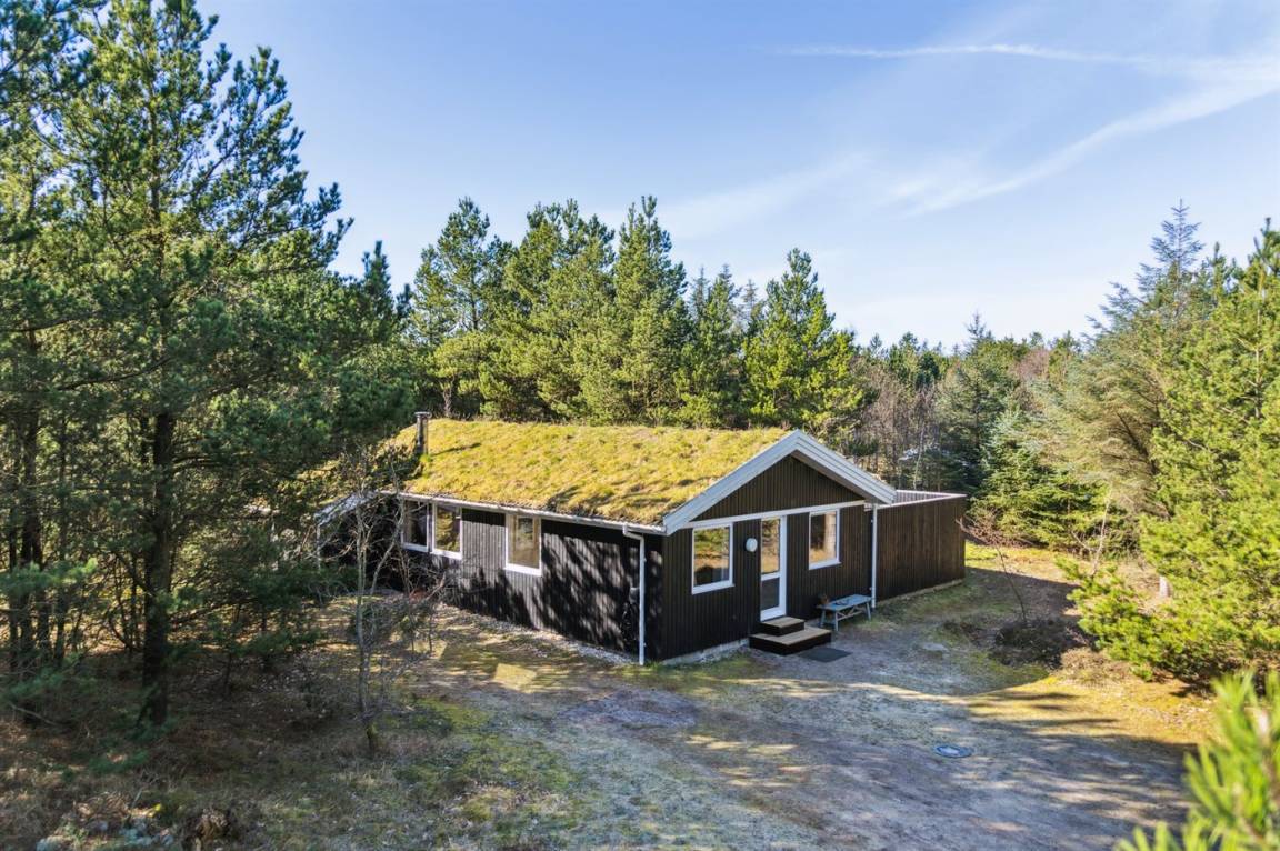 60 M² Huis ∙ 3 Slaapkamers ∙ 6 Gasten - Blokhus