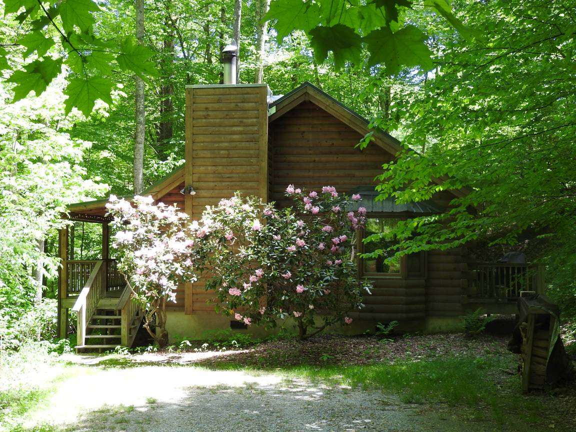 Hut ∙ 1 Slaapkamer ∙ 2 Gasten - Valle Crucis, NC