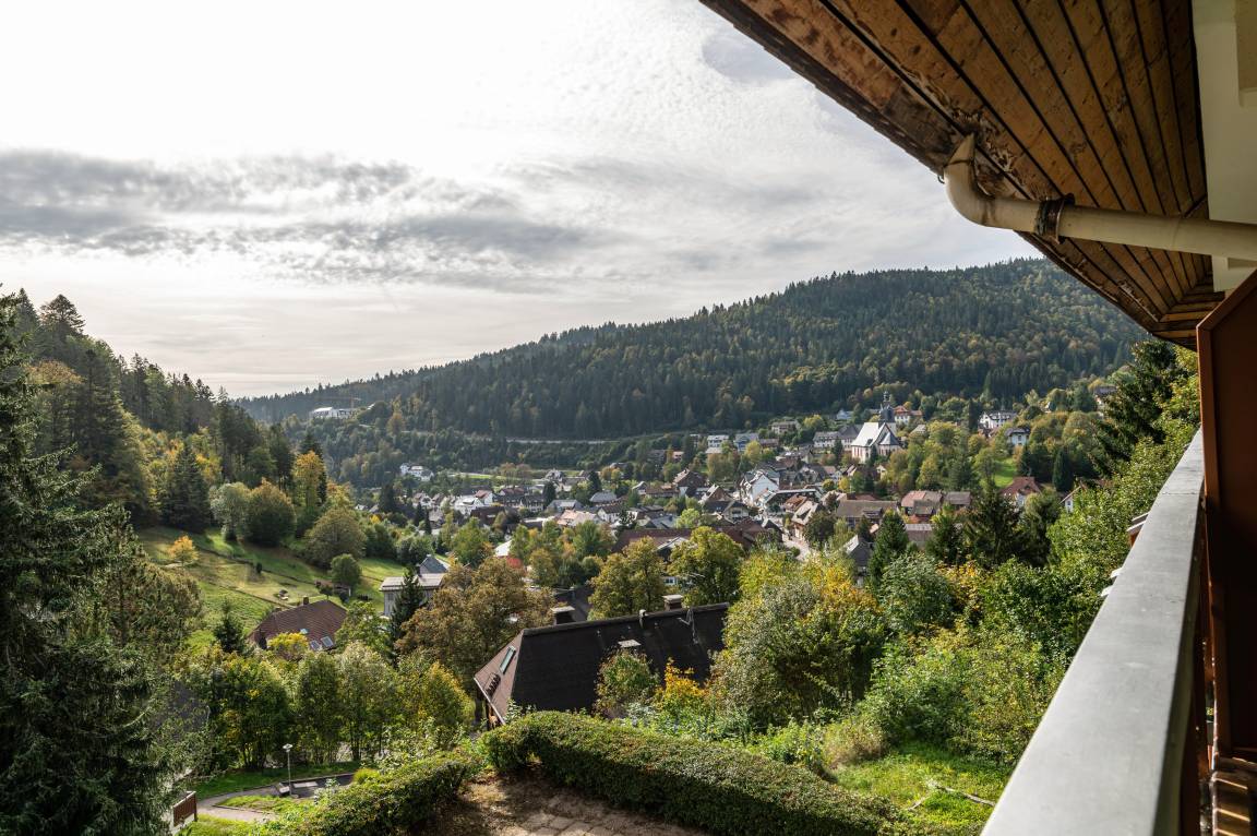 60 M² Ferienwohnung ∙ 1 Schlafzimmer ∙ 4 Gäste - Todtmoos