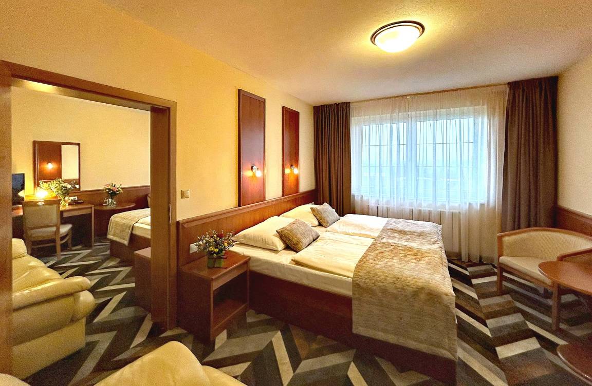 50 M² Apartment ∙ 1 Bedroom ∙ 4 Guests - Pilsen