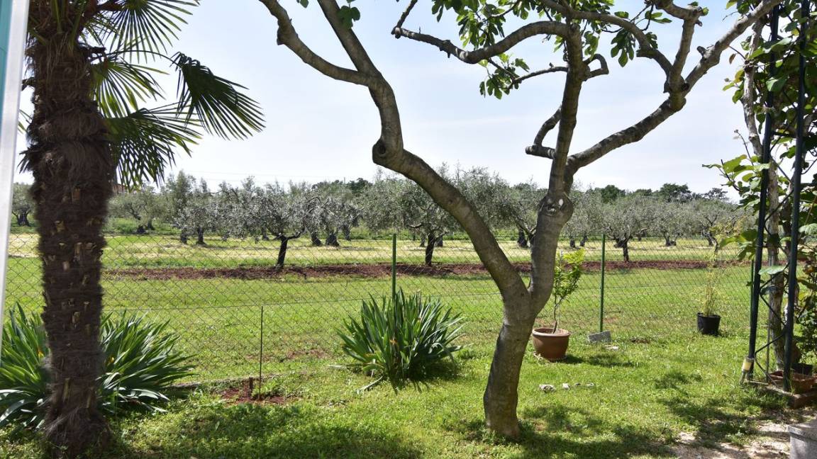 36 M² Hotel ∙ 3 Guests - Umag