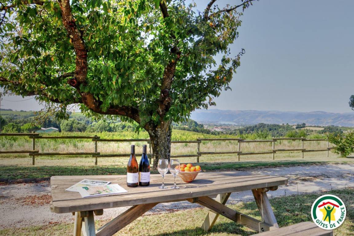 45 M² Gîte ∙ 2 Chambres ∙ 4 Personnes - Romans-sur-Isère