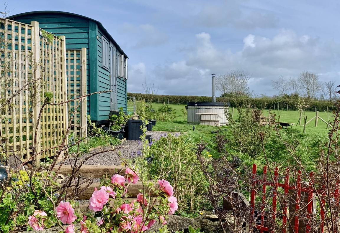 45 M² Lodge ∙ 1 Bedroom ∙ 2 Guests - Wales