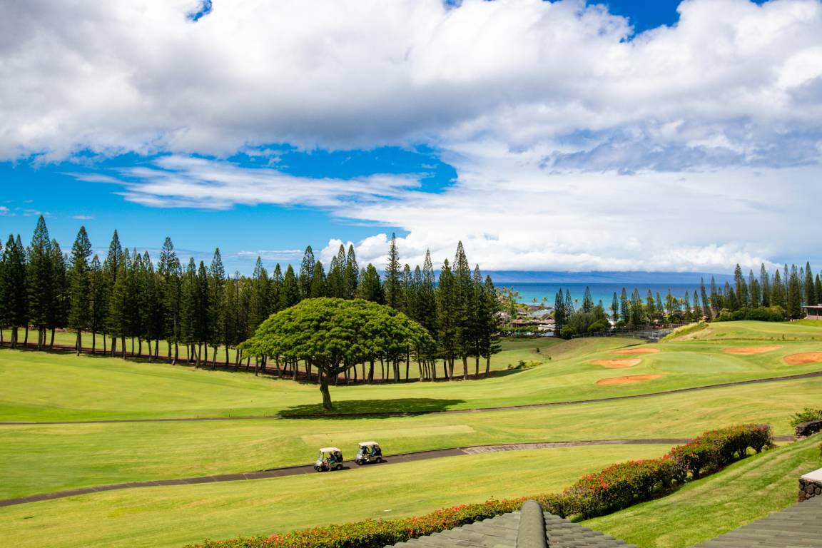 90 M² Condo ∙ 1 Bedroom ∙ 5 Guests - Kapalua, HI
